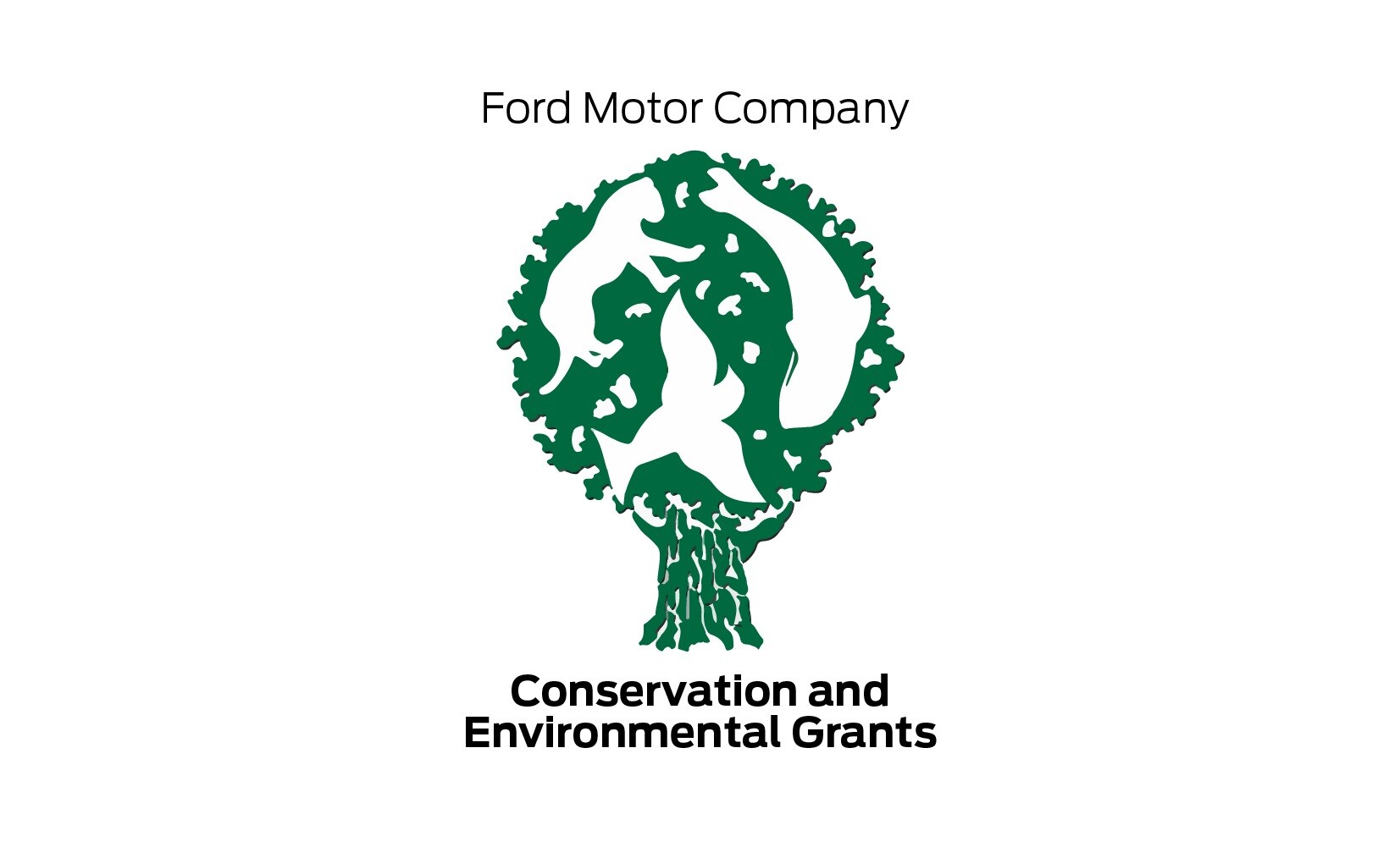 Ford Conservation and Environmental Grants Awards $100,000 to 10 ...