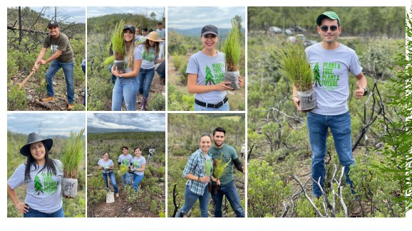 Ford Cuautitlán y Ford Chihuahua, reconocidos por proyectos de ...