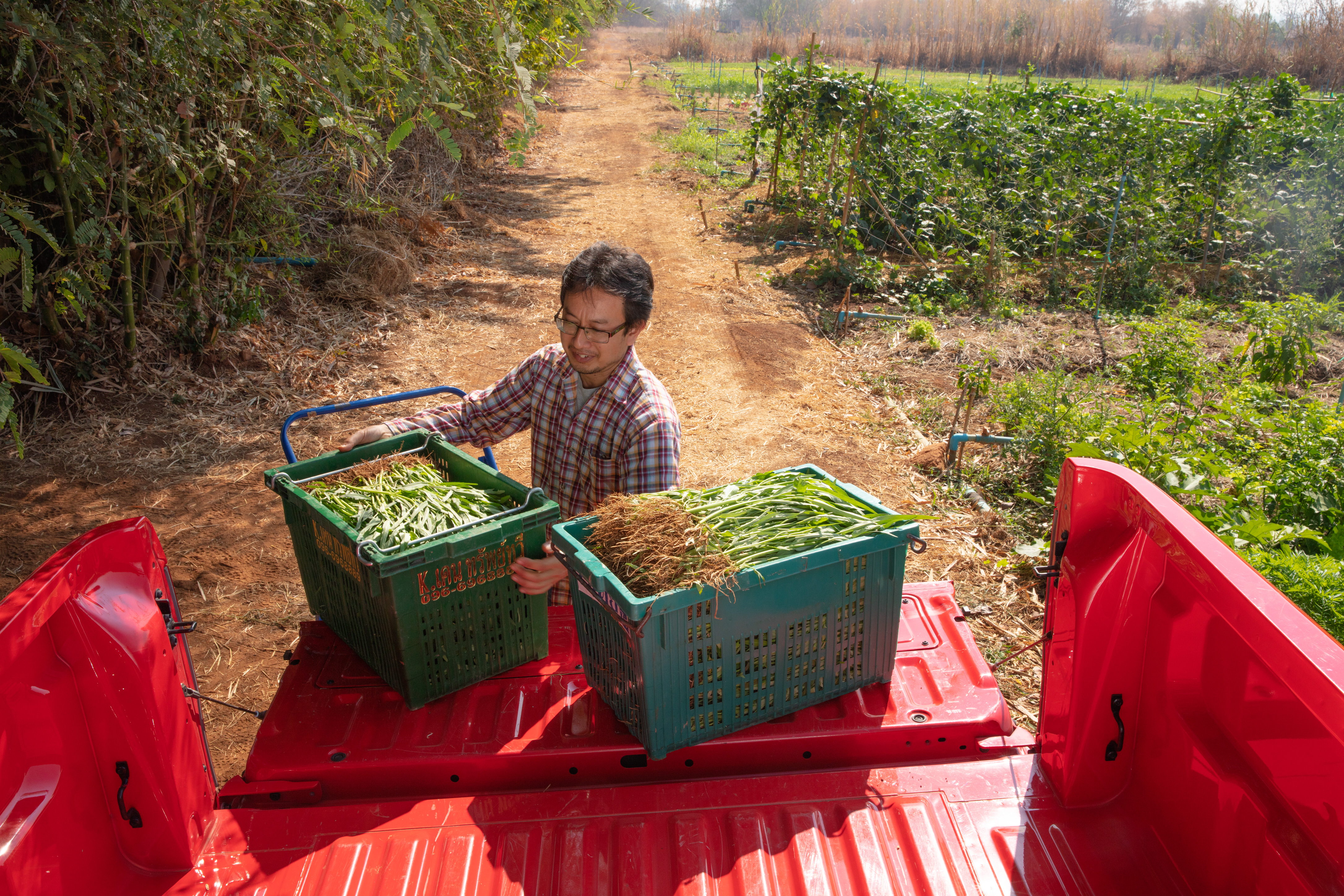 Ranger XLS on the Farm | International Markets Group | Ford Media Center