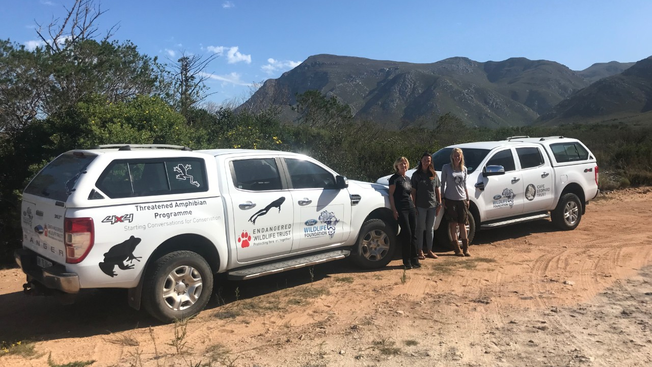 Ford Wildlife Foundation Organisations Join Forces to Support Two ...